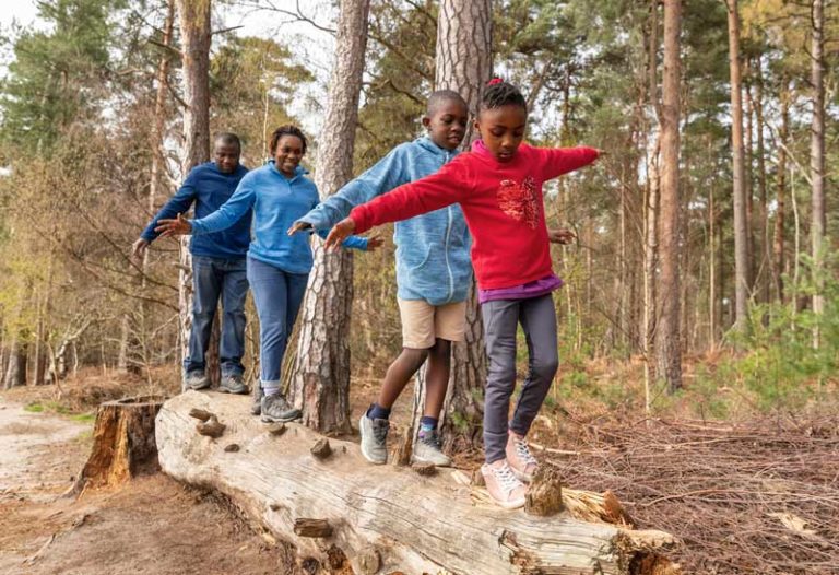 Walking Classroom Resources for Teachers